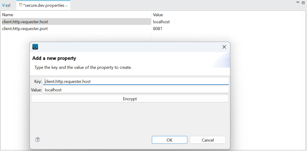 MuleSoft Secure Properties in Mule 4 | Tool & Generator Guide